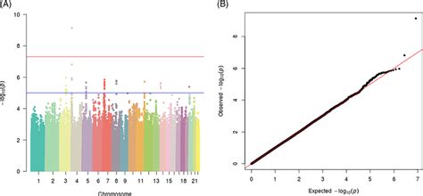 Manhattan Plot A And Qq Plot B Of The Genome‐wide Association Study