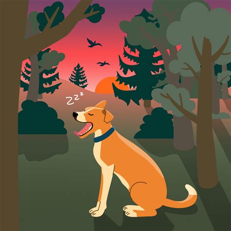 Иллюстрация собака на закате