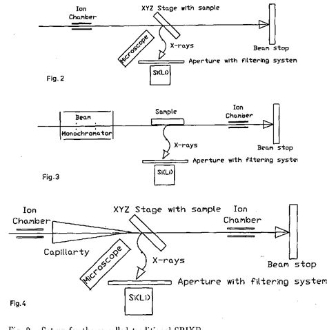 Figure 3 From Biomedical Applications Of Synchrotron X Ray Fluorescence