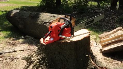 Echo Cs 620pw Chainsaw Review Unleashing Power And Performance Forestry Reviews