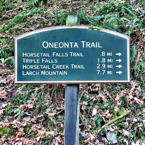 The Next Trailhead
