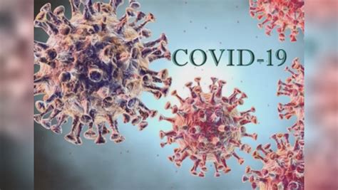 Coronavirus 12 Febbraio 2023 Notizie TVL TV Libera
