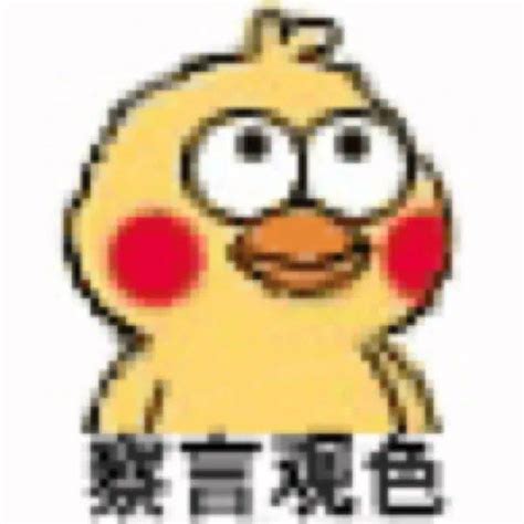 鹦鹉兄弟表情包