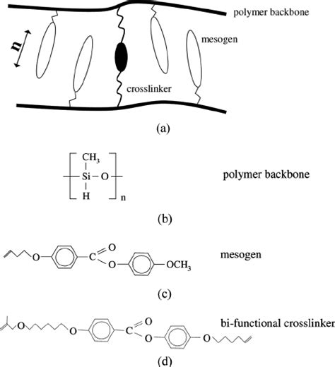 Schematic Picture For A Polydomain Lce Structure A And The Chemical