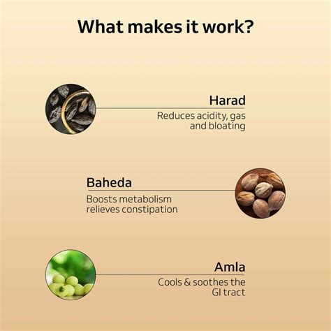 Purely Yours Nutra Gut Gut Health Supplement Regulates Metabolism