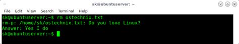Protect Files From Accidental Deletion In Linux OSTechNix