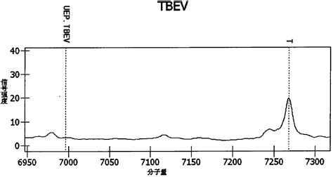 Novel Technology For Detecting Viruses Of Arbovirus Encephalitis