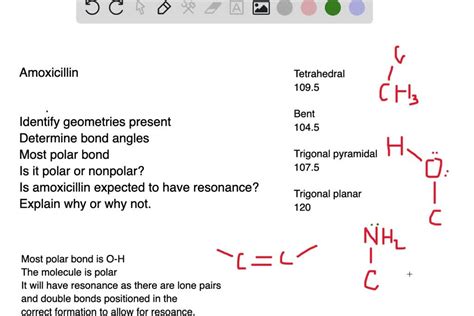 Solved8 Pts Consider The Structure Of The Antibiotic Amoxicillin