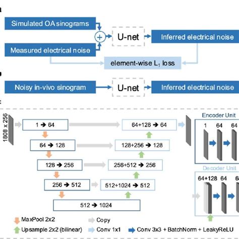 Discriminative Deep Learning Framework For Denoising Optoacoustic Download Scientific Diagram