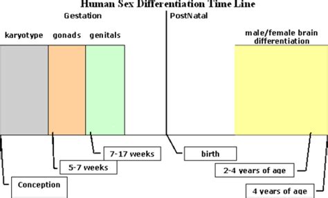 Sexual Differentiation Flashcards Quizlet