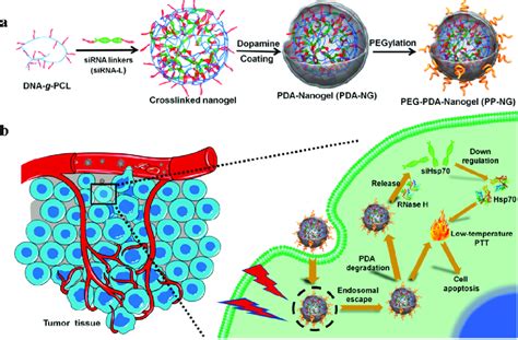 A Synthetic Route Of Pda Coated Nucleic Acid Nanogel With Pegylated