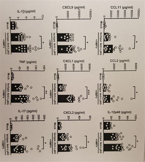 Mouse Luminex Assay Lxsamsm Randd Systems