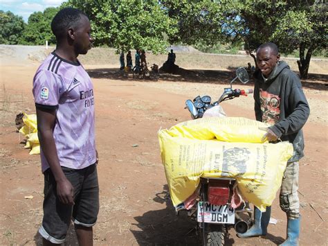WAKULIMA WA KOROSHO WILAYANI TUNDURU WAMSHUKURU RAIS DKT SAMIA KWA