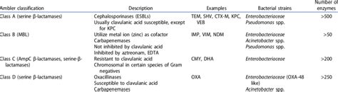 Overview Of β Lactamase Classification And Nomenclature Download Table