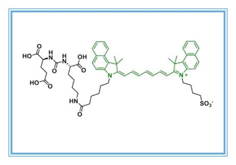 Icg Psma，吲哚菁绿特异性膜抗原，能够与免疫细胞上的特定受体结合 哔哩哔哩