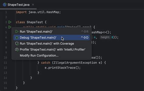启动调试器会话 Intellij Idea 文档