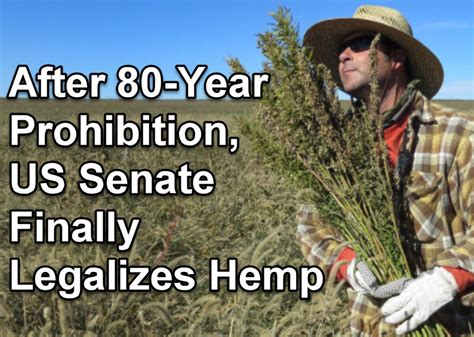 When Will Cannabis Be Federally Legal In America
