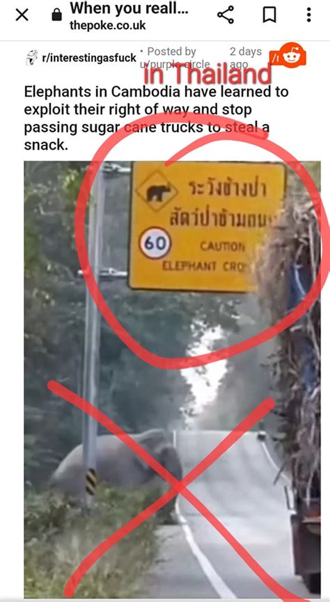 เอาเข้าไป กัมพูชาเคลมช้างป่าไทยดักกินอ้อยเป็นช้างในเขมร ทั้งที่มีป้าย