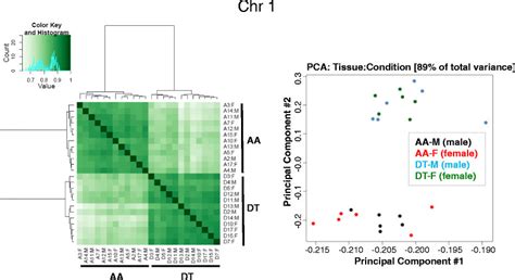 correlation heatmap and principal component analysis pca