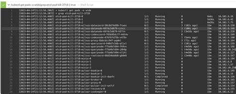 Bug Many Components Can Not Be Ready After Etcd Pod Kill Chaos Test