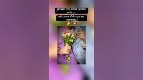 ~আমি আমার সবটা দিয়ে তোমাকে ভালোবাসবো বিনিময়ে তুমি শুধু পাশে থেকো ️