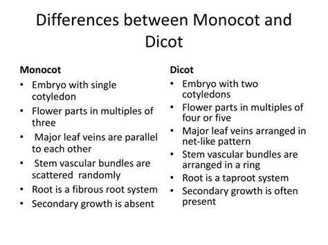The Difference Between Monocot And Dicot