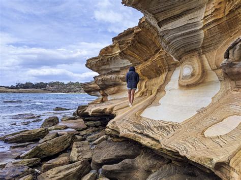 Maria Island National Park Is It Worth It Tracks Less Travelled