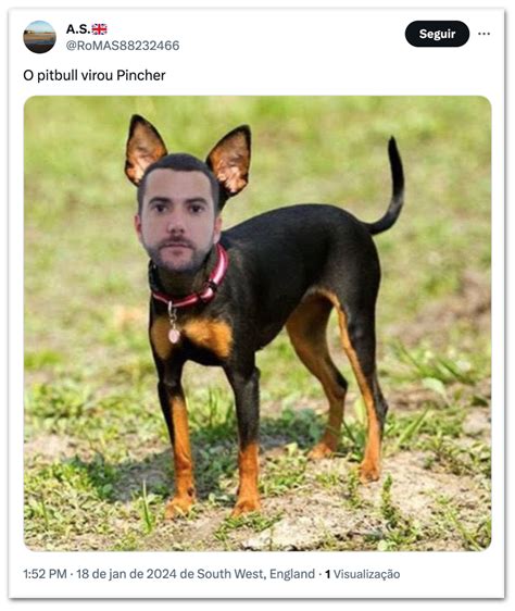 Operação da PF contra Carlos Jordy vira meme nas redes
