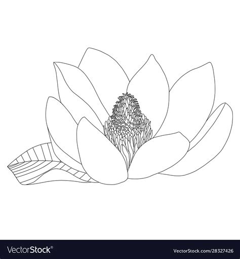 Set Organic Seamless Patterns With Rounded Vector Image