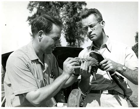 Tw And Harry Hurlbutt Bleeding A Crow Medicine On Screen