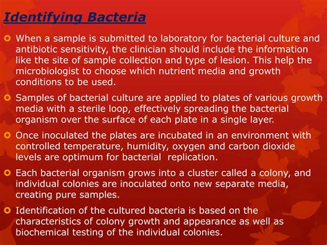 Microbiological Culture Sensitivity Test Pptx