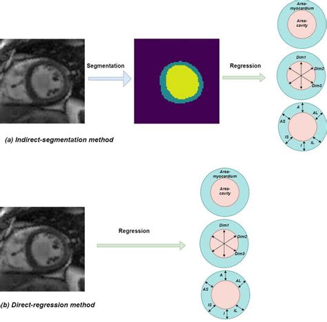 two categories methods have existed in left ventricular quantification