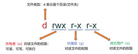你不得不知的linux知识（4）——文件管理（下） Csdn博客