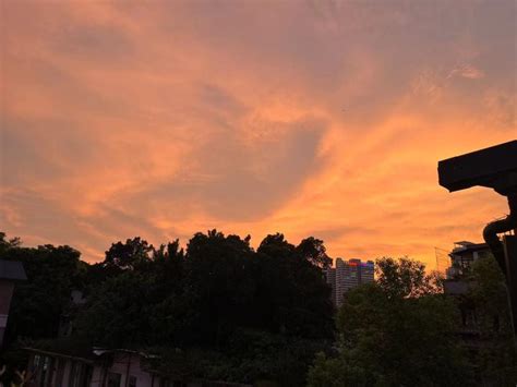 Readhub 时间线样式分析 知乎