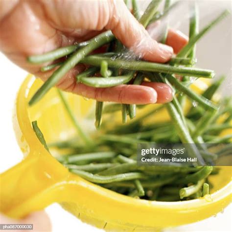 The String Bean Photos And Premium High Res Pictures Getty Images