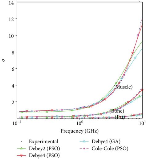 Properties Of Human Body Tissues Using Debye Model Compared With The Download Scientific