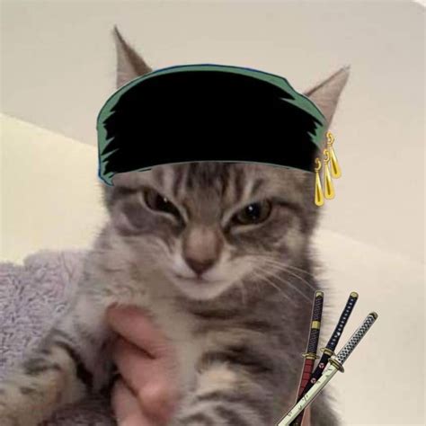 Zoro Pfp Zoro Pfp
