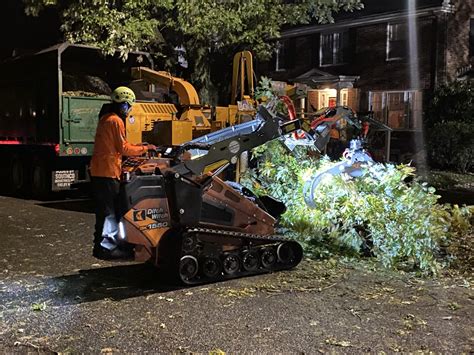 Billerica Ma Tree Company Kelley Tree Service