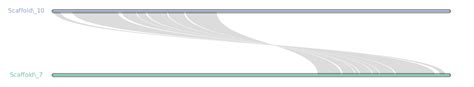 How To Relay Chromosome Sizes To Mcscan Python Version · Issue 476