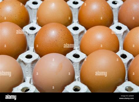 Eggs From Chicken Farm In The Package That Preserved For Sale Stock