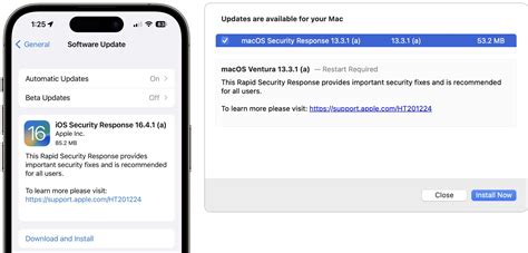 what are rapid security responses and why are they important tidbits