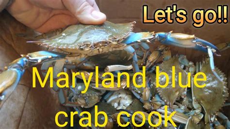 Cooking Blue Crabs Youtube