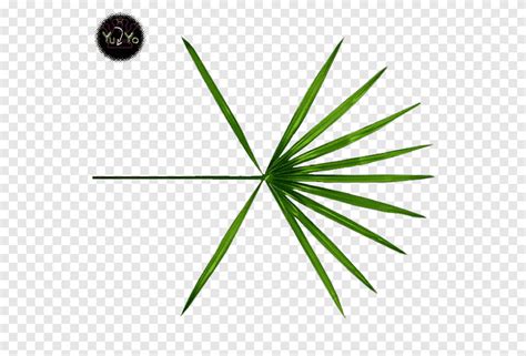 엑소 로고 그린 팜 리프 Png Pngegg