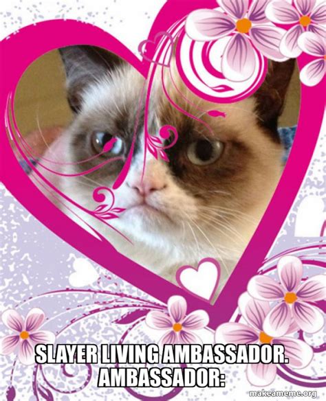 Slayer Living Ambassador Ambassador Grumpy Cat Valentines Day Meme Generator