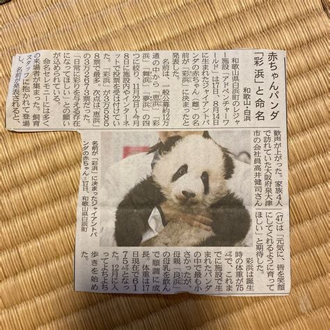 イツカ On Twitter 整理整頓したら 懐かしいのが出てきました！ パンダ🐼の新聞の切り取りやパンフレットが出てきました 懐かしい