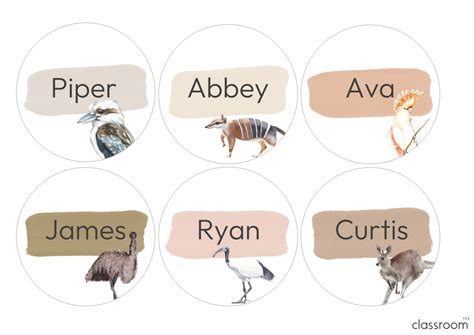 Modern Aussie Classroom Door Bulletin Board Display Pack Classroom Hq