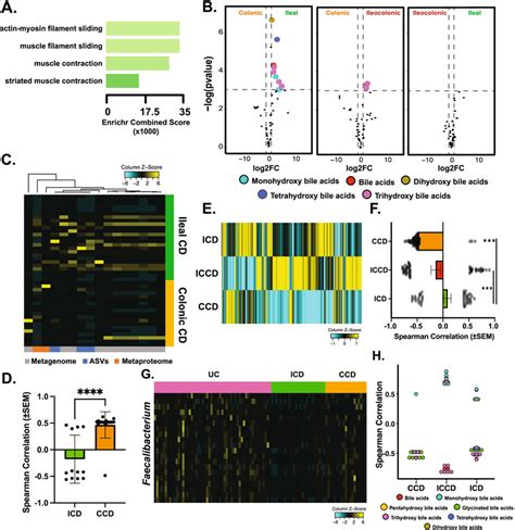 Multi Omics Identifies Features Both Common And Unique Features Of Download Scientific Diagram