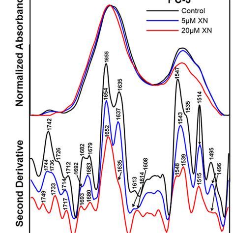 Second Order Derivative Spectra Determined For Amide I Amide II And