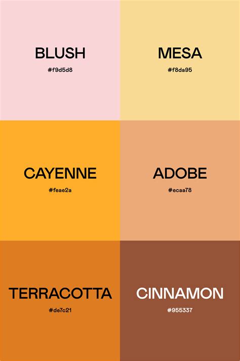 Color Palette Sunset Chic The Color Palette Studio