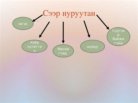 амьтны аймаг